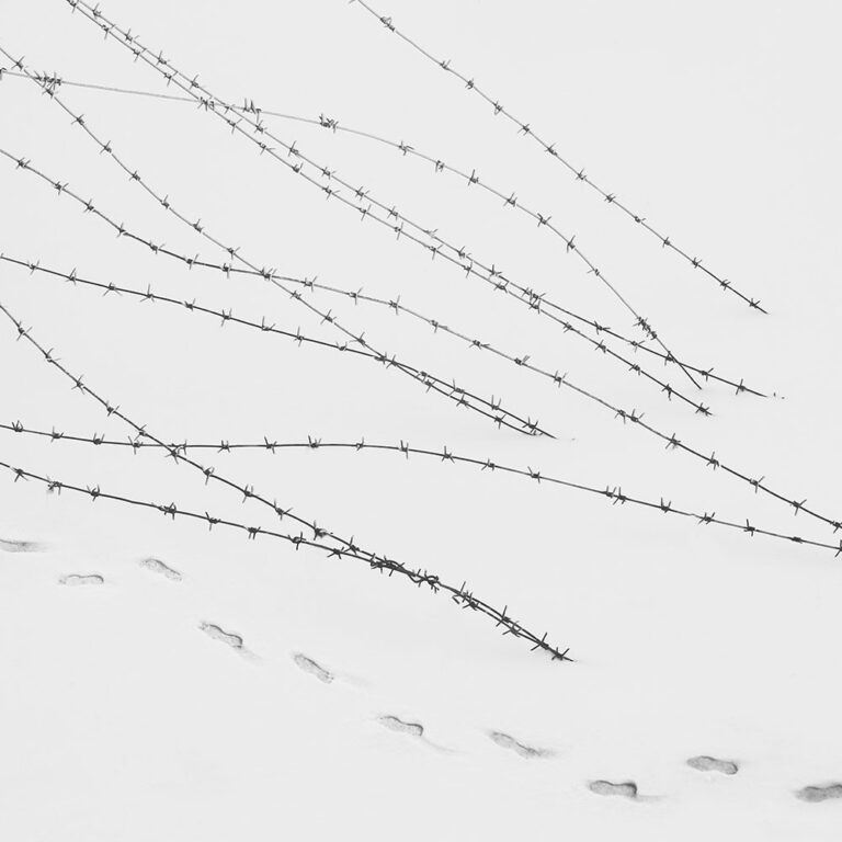 Mostafa Nodeh: Featured Artist Interview - The Markaz Review