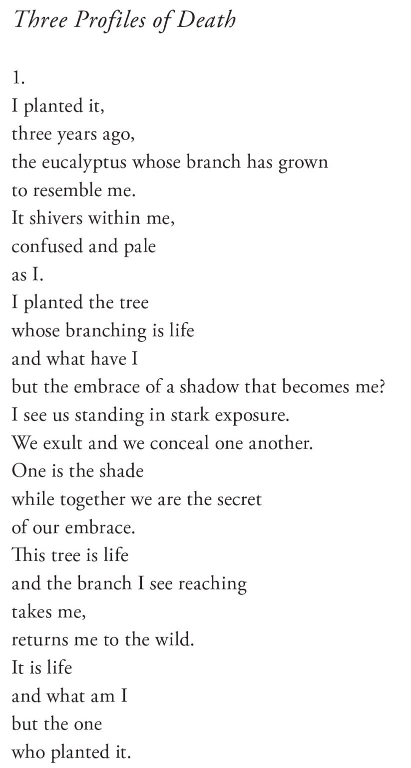 Jawdat Fakreddine Presents Three Poems - The Markaz Review