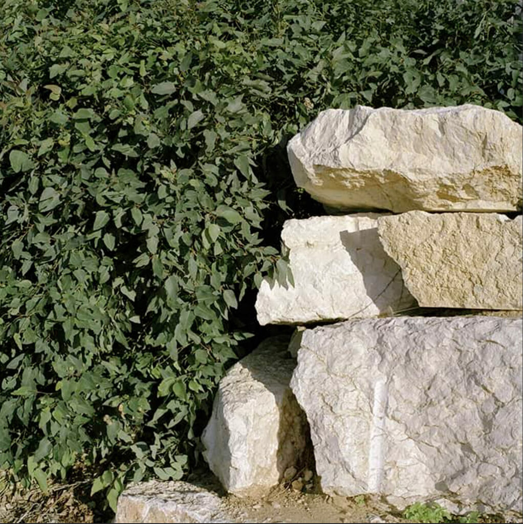 Artist Interview: Corinne Silva on Israeli Settlement Gardens in ...